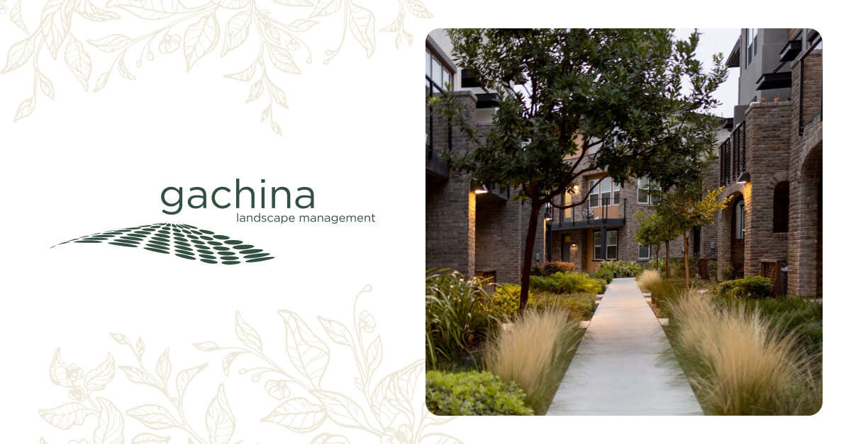 Gachina | About Us
