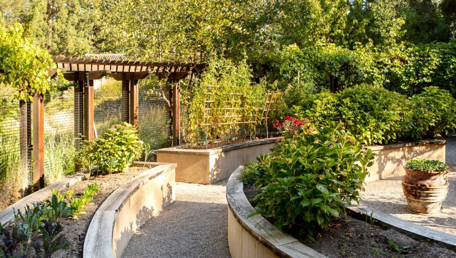 Commercial Landscape Management in Northern California