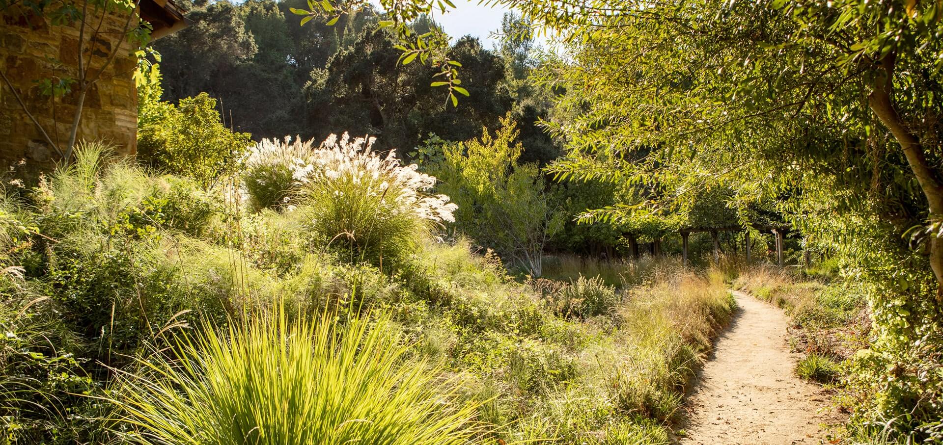 Gachina | Commercial Landscape Management Services